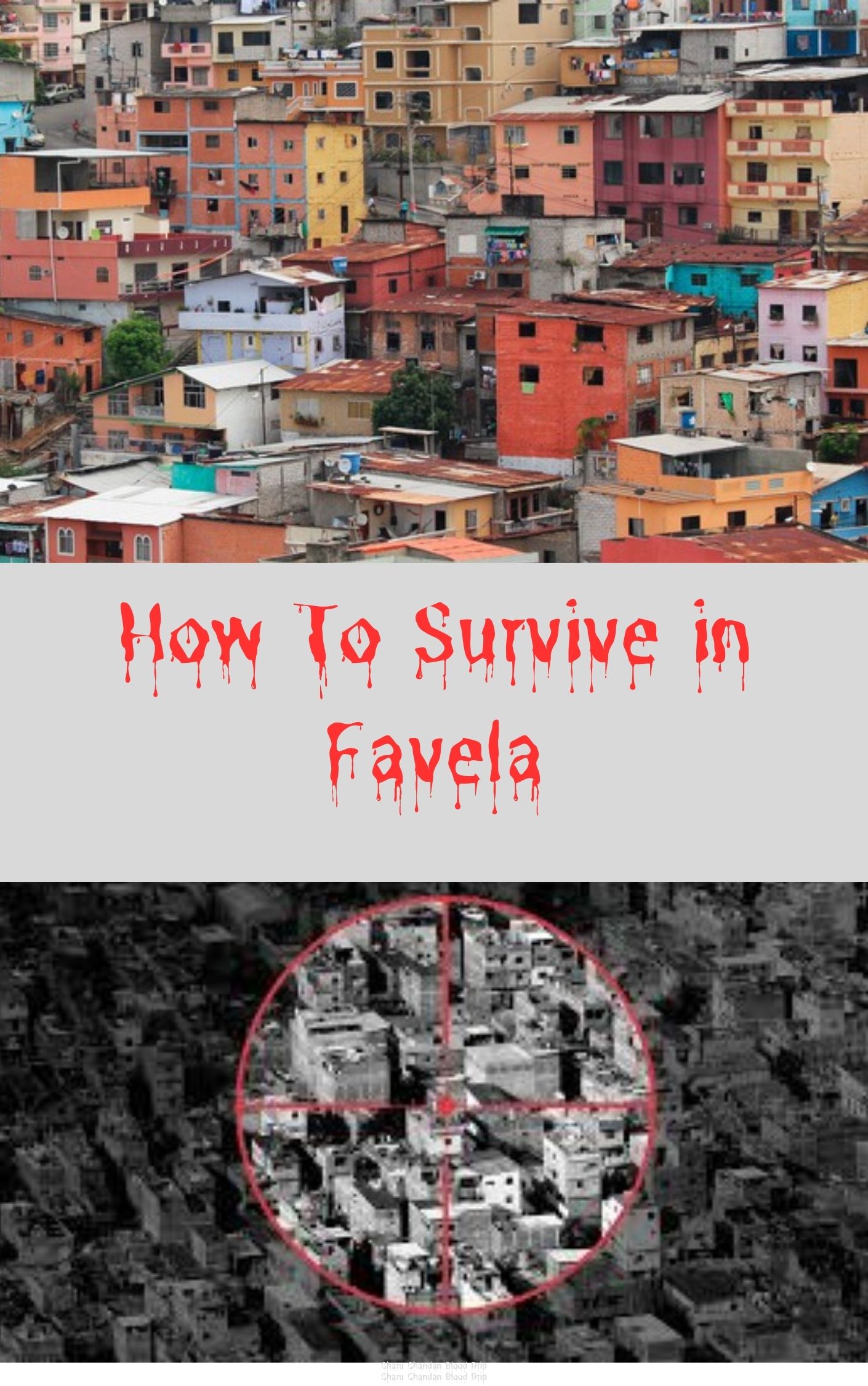 How To Survive in Favela
