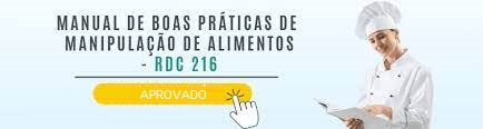 Manual de Boas Praticas RDC 216 e POP'S - Rutineia Oliveira Pardinh...