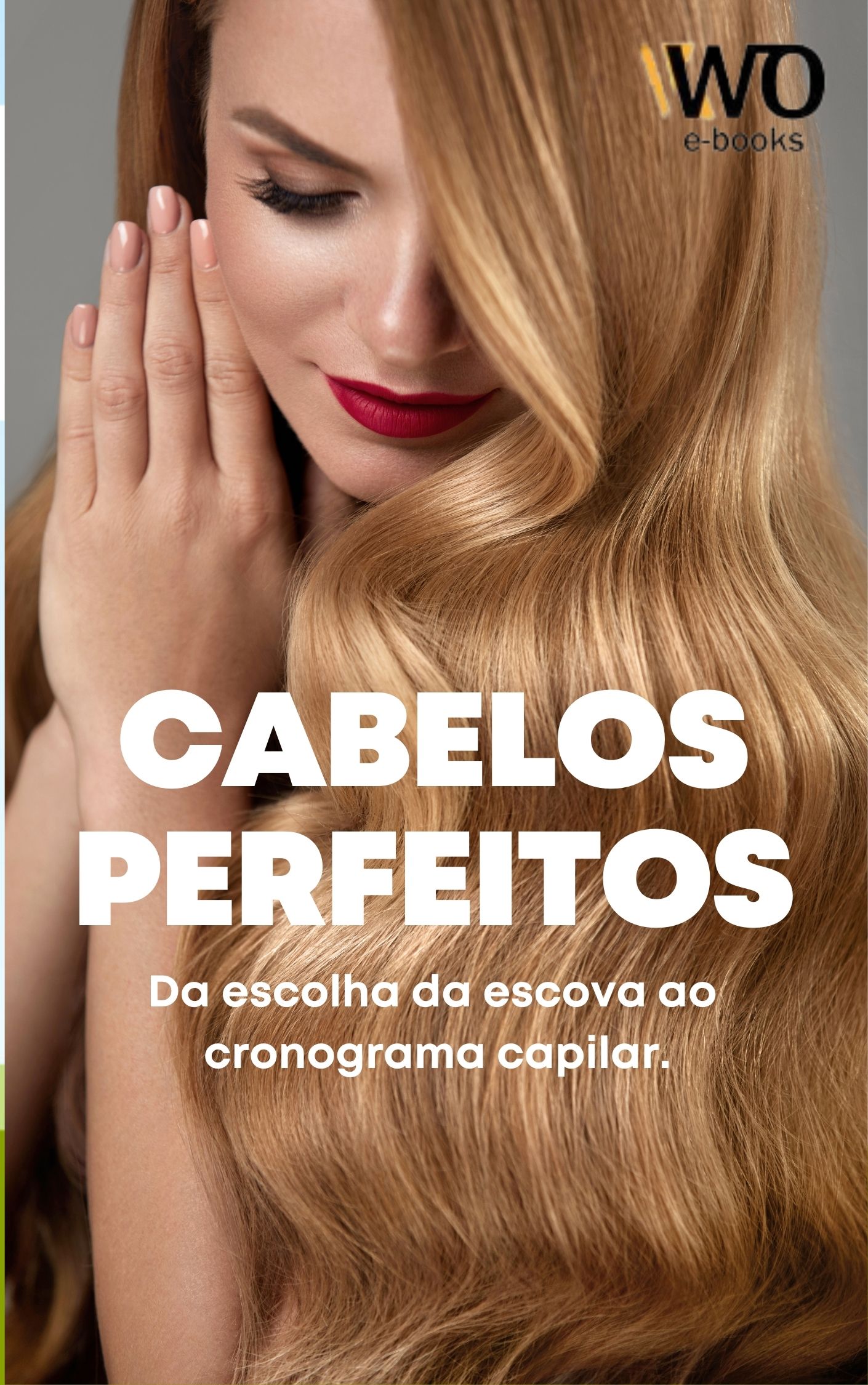 Cabelos Perfeitos (Da Escolha da Escova ao Cronograma Capilar)