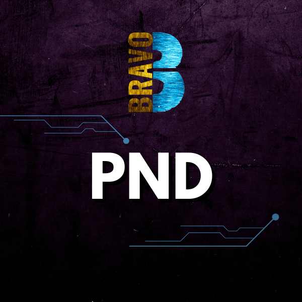 Prova Nacional Docente (PND) - Bravo Concursos | Hotmart