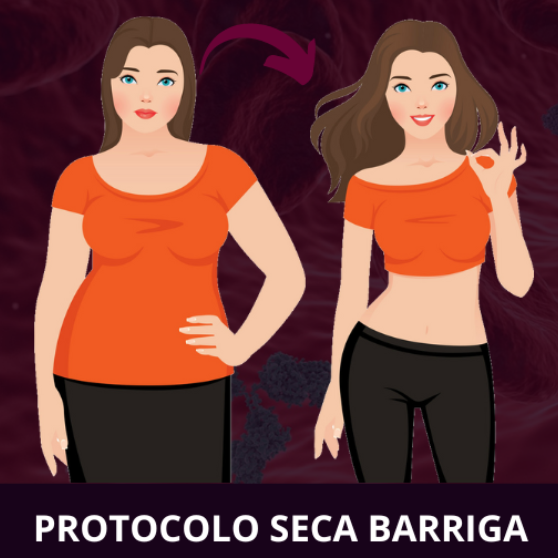 Protocolo Seca Barriga