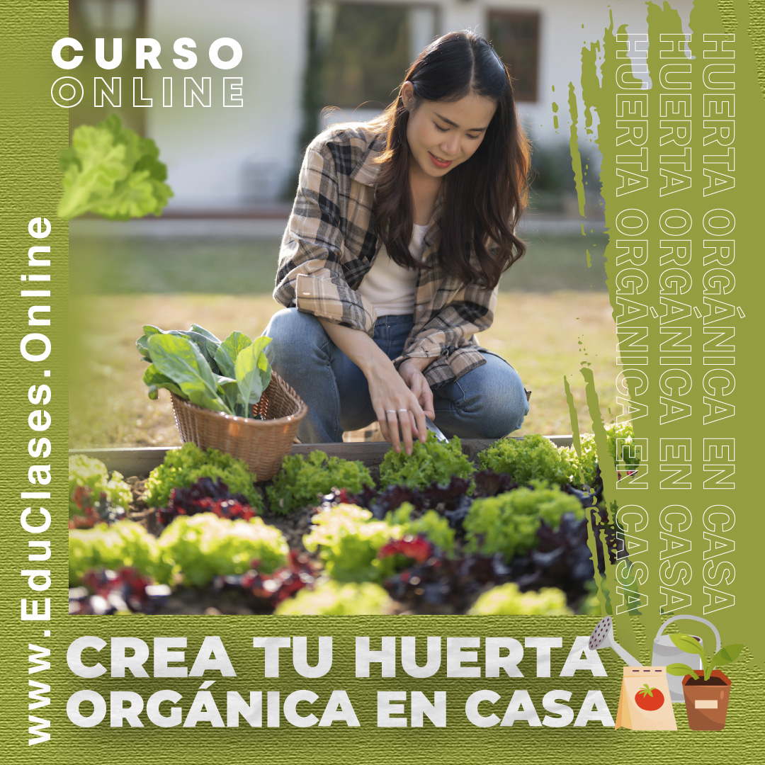 Crea tu huerta orgánica en casa