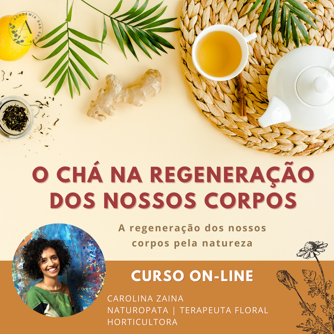 O chá na regeneração dos nossos corpos