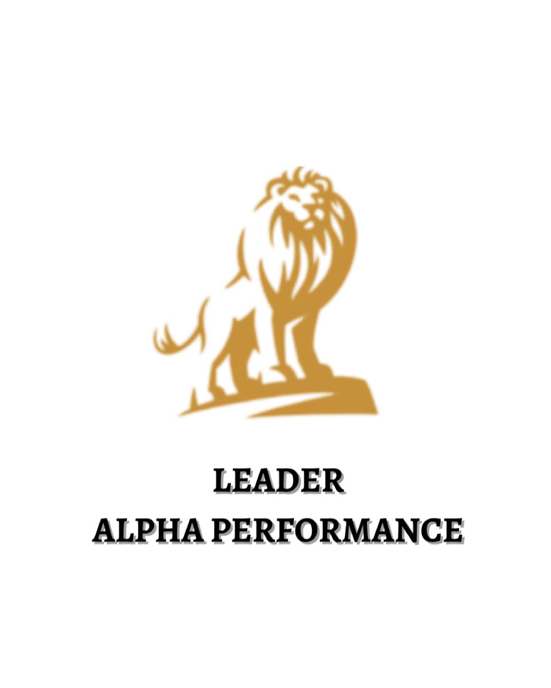 LEADER ALPHA PERFORMANCE