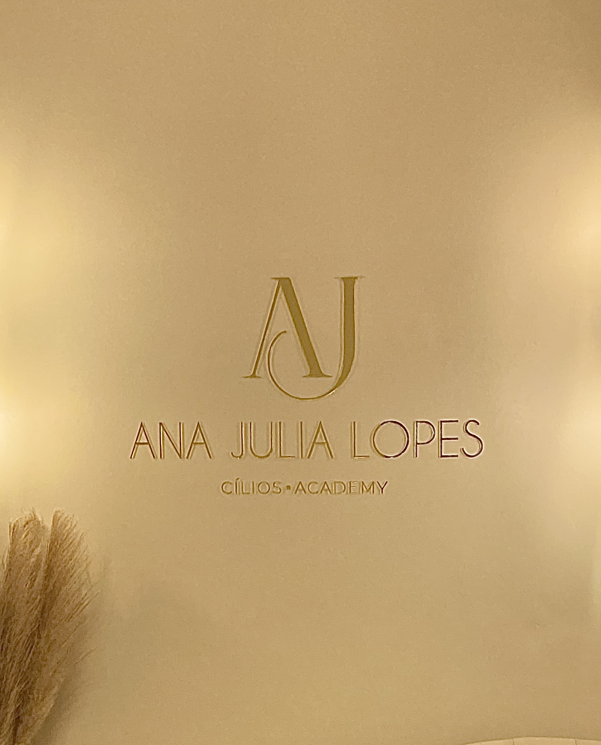 Links dos itens decorativos - Ana julia Lopes Monteiro | Hotmart