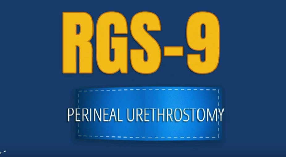 RGS9 - Perineal Urethrostomy - Elisa Berdondini | Hotmart