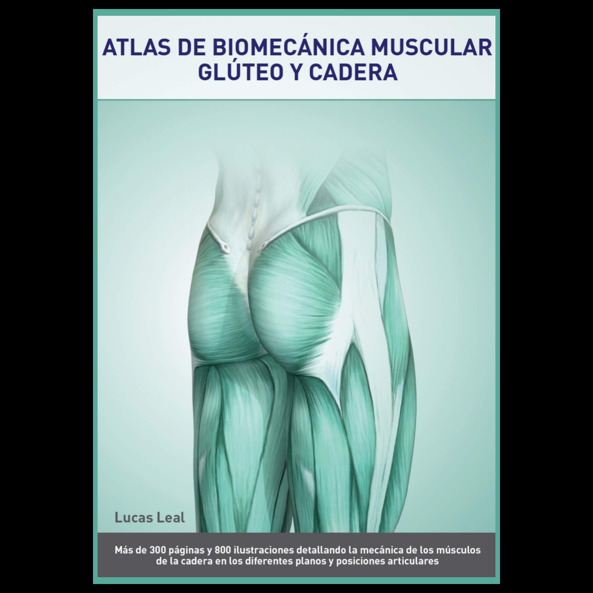 Atlas de biomecánica muscular – Glúteo y cadera - Training Ebooks