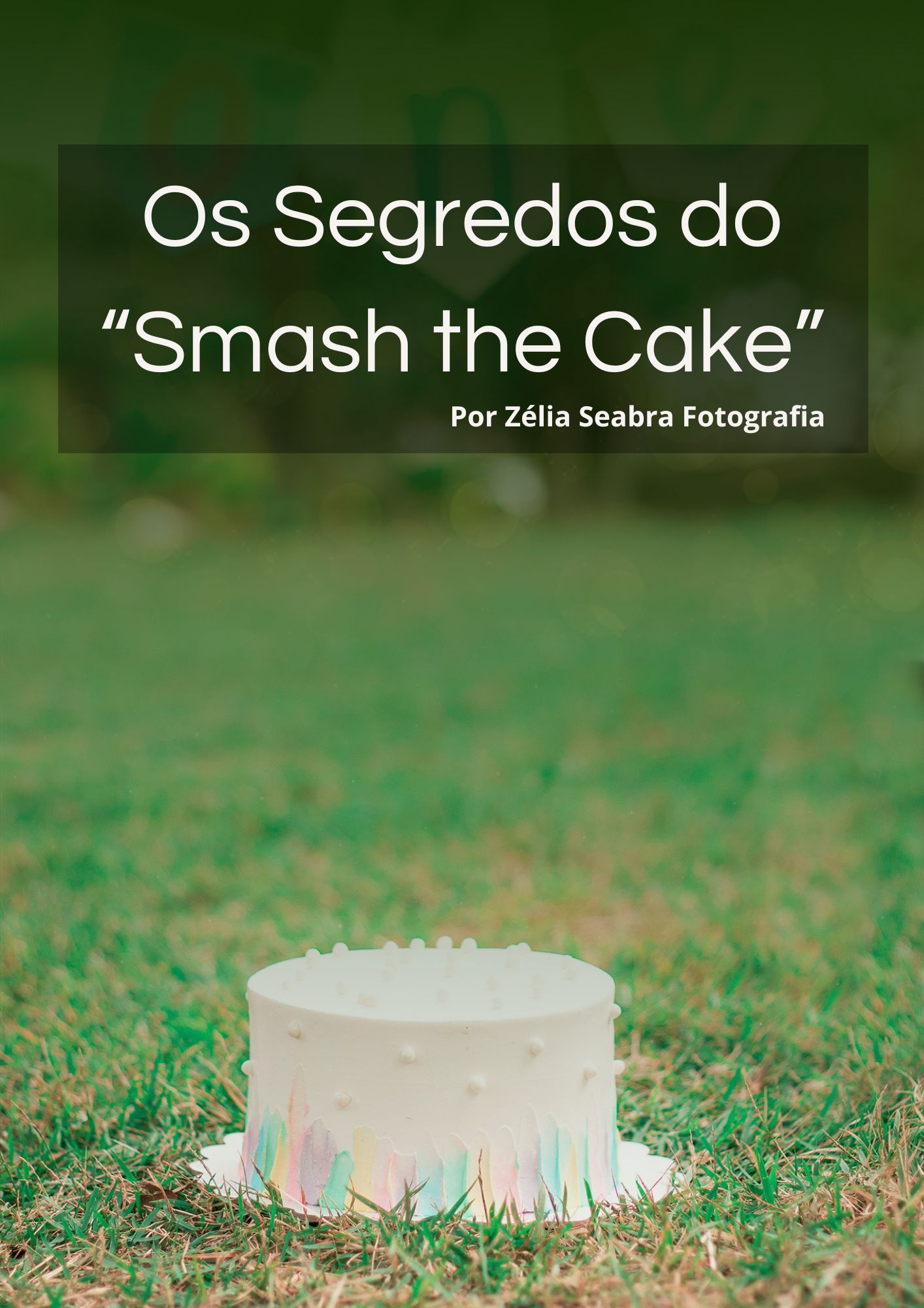 Os Segredos do Smash the Cake - Maria Zélia Rodrigues Lima Seabra