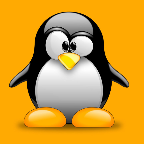 Linux na Prática - Ryan Totola Auer | Hotmart