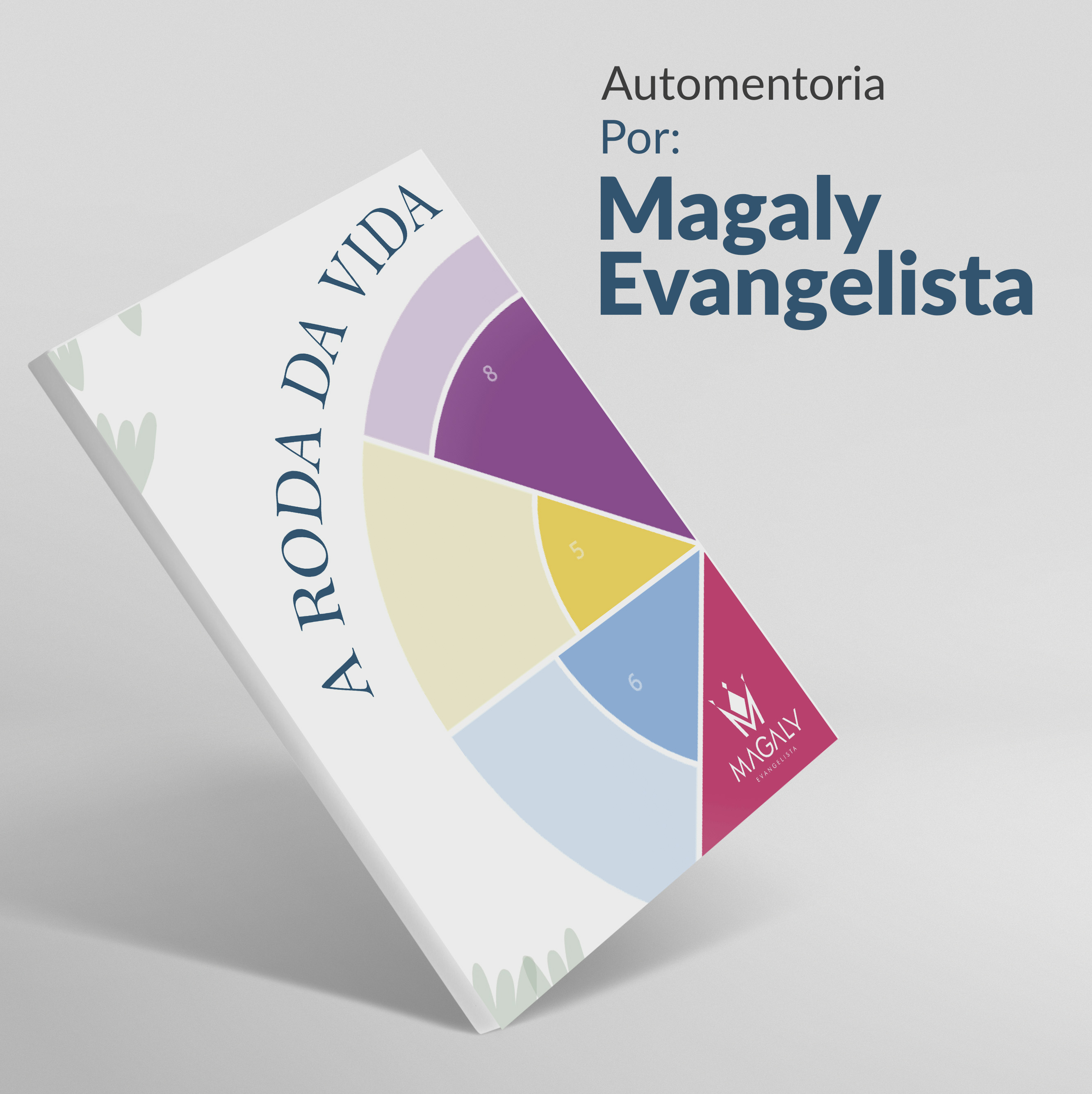 Roda da Vida + Planilha e Questionário práticos (Projeto Automentor...
