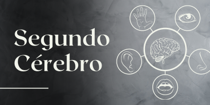 Segundo Cérebro - Évelyn Ritta Chaves | Hotmart