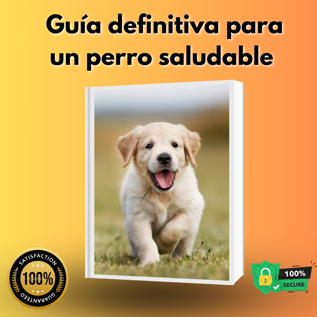 Guía Definitiva para un Perro Saludable: Cómo Cuidar a tu Compañero...