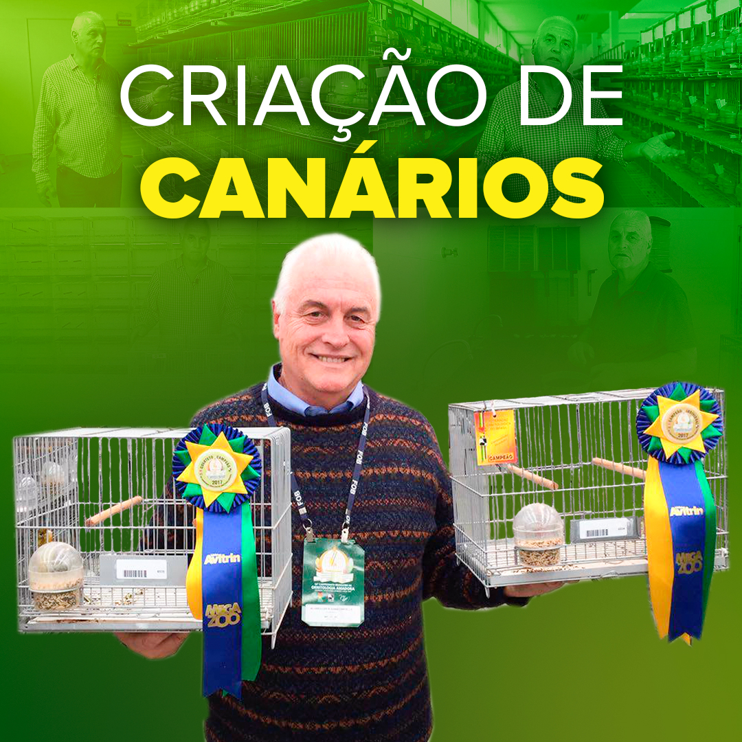 Criação de canários - com Alvaro Blasina - Alvaro Blasina | Hotmart