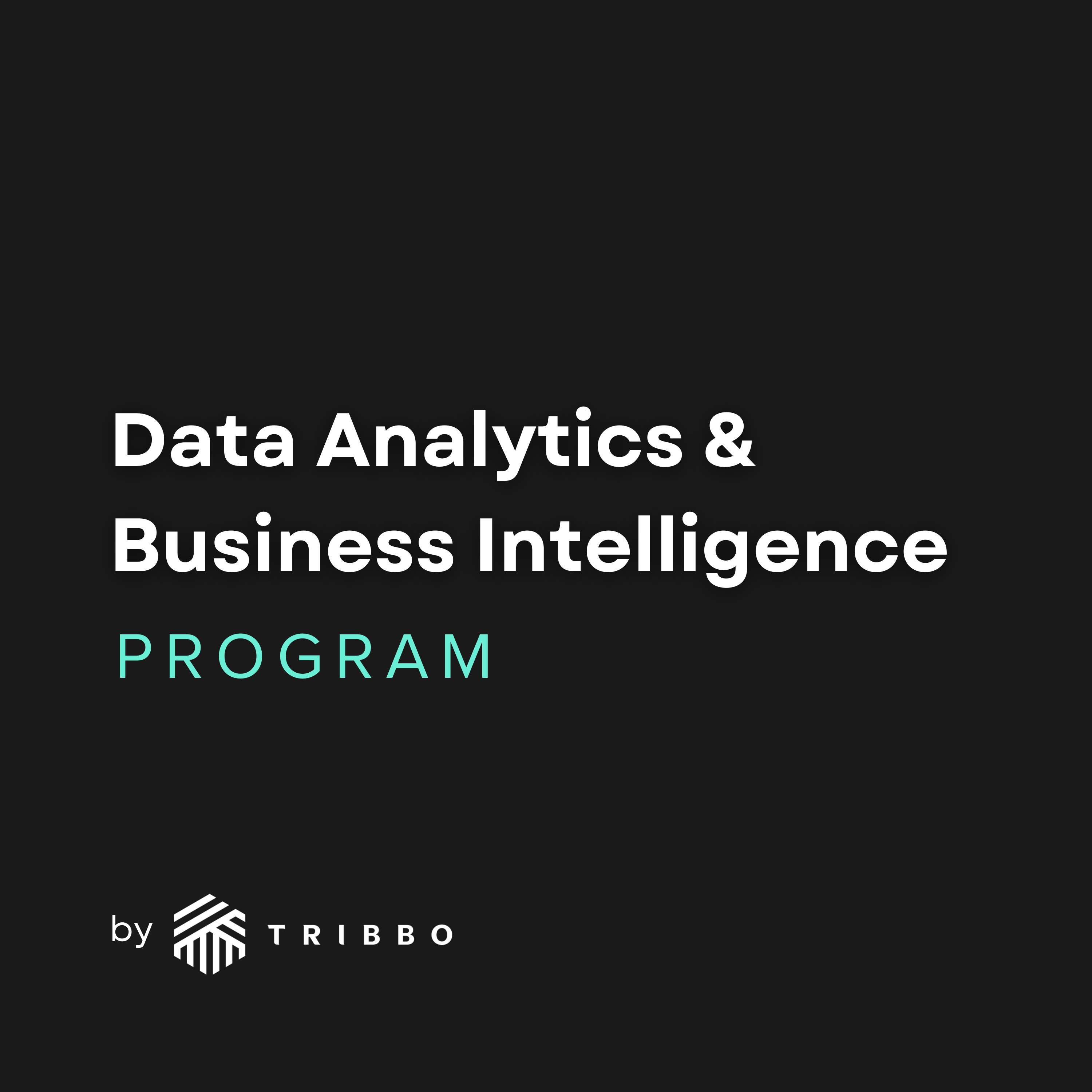 Data Analytics & BI Program