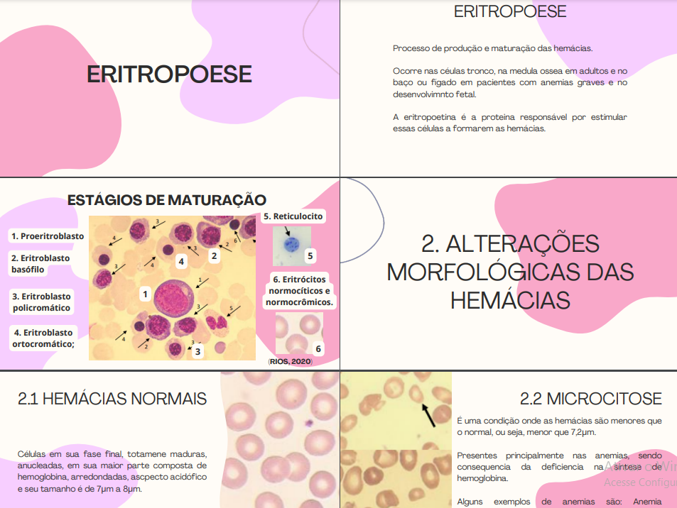 Atlas de Hematologia Clínica - 🌸Reforço Acadêmico🌸by Jenny🌸 | Ho...