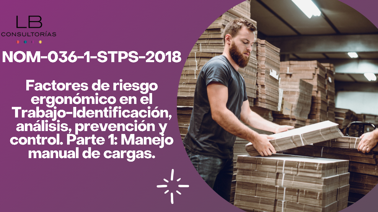 ERGONOMÍA NOM 036 STPS 2018 - LESLI DANIELA BAYARDO ALVAREZ | Hotmart