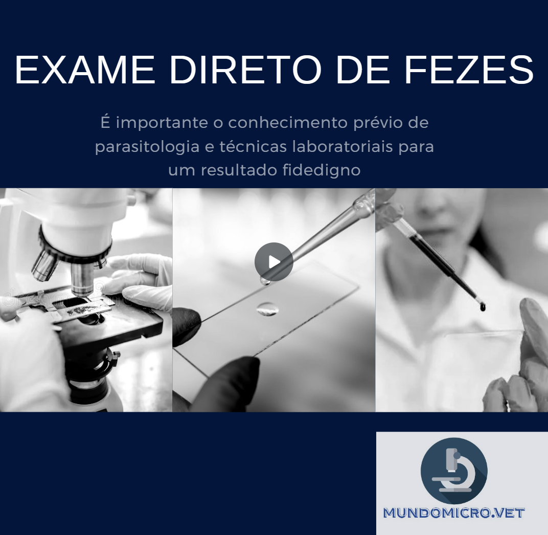 EXAME PARASITOLÓGICO DE FEZES (DIRETO) - FAÇA EM 2 MINUTOS - Mundom...