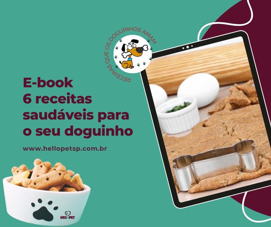 E-book 6 receitas saudáveis para o seu doguinho - Andrea | Hotmart
