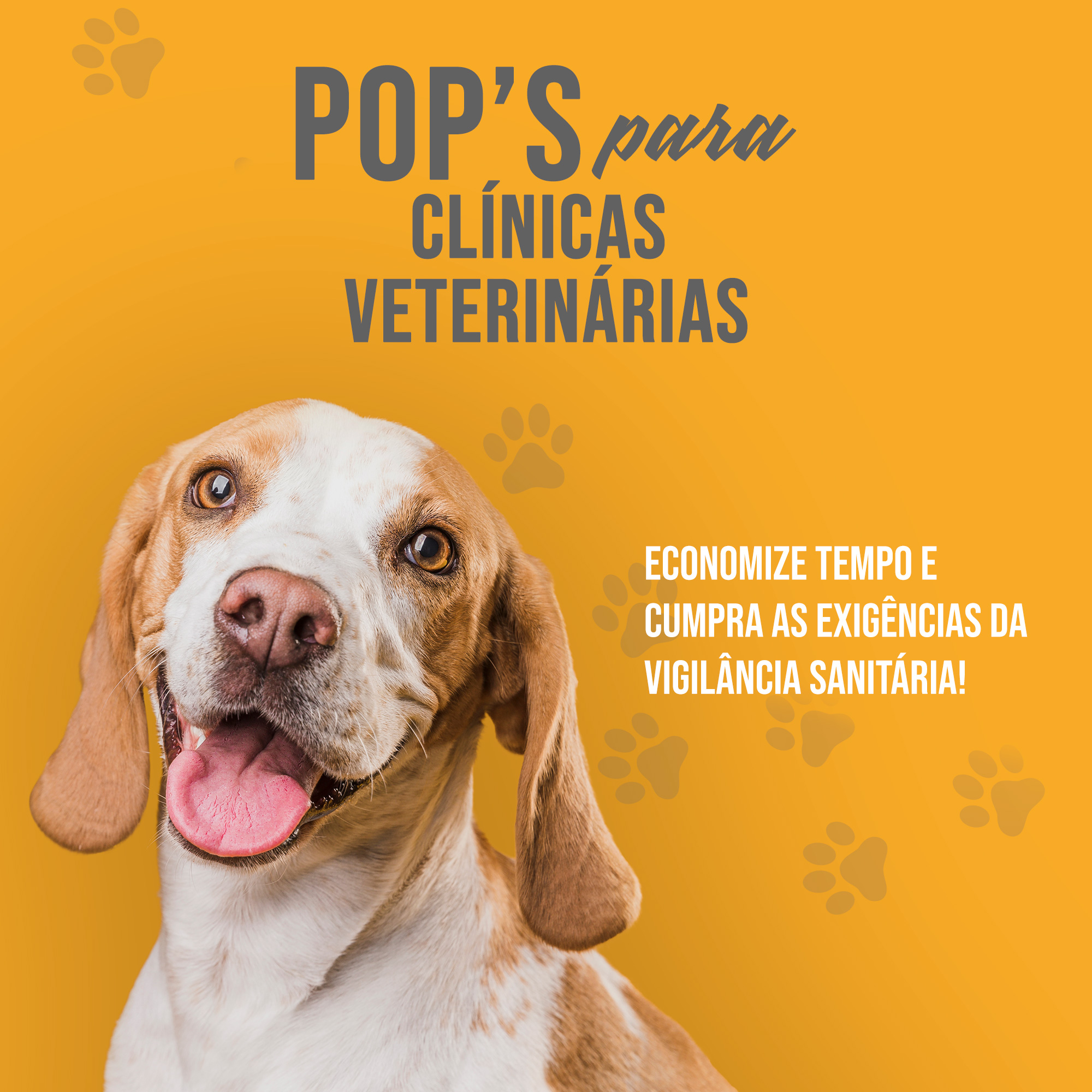 POP'S PARA CLÍNICAS VETERINÁRIAS - Gestão de Clínicas Veterinárias ...