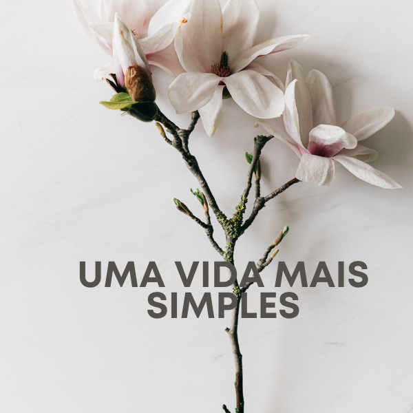 UMA VIDA MAIS SIMPLES - NDV Digital | Hotmart