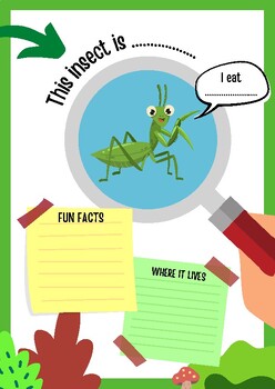 Bug Buddies, Bugs & Insect Names and Diets Activities, Spring Research ...