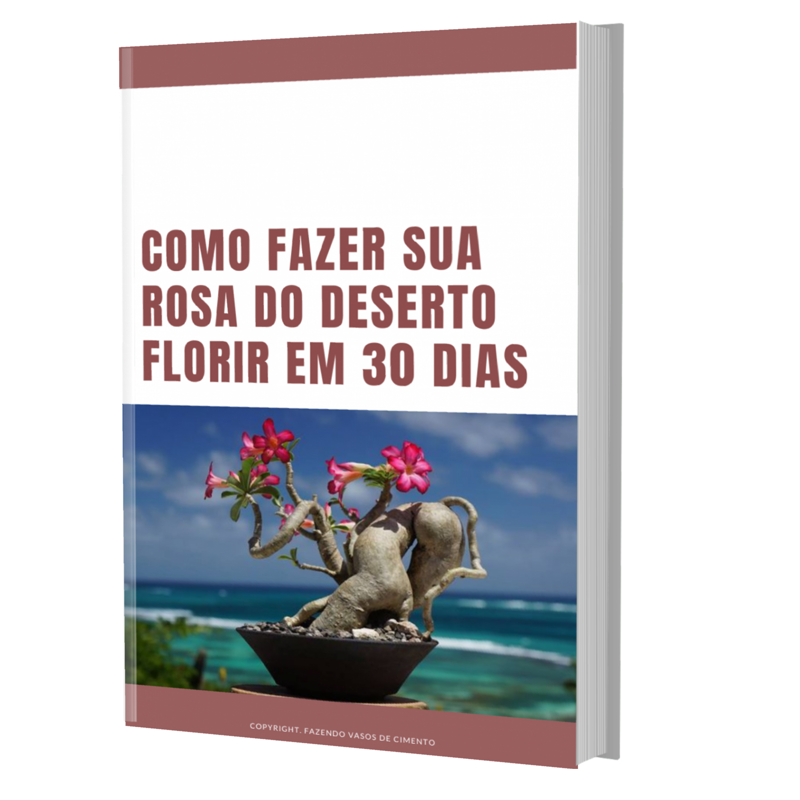 COMO FAZER SUA ROSA DO DESERTO FLORIR EM 30 DIAS - Nilton Macedo Si...