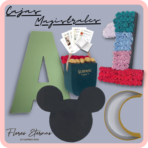 Cajas Magistrales By Surprise Roses - Leidy Pinto | Hotmart