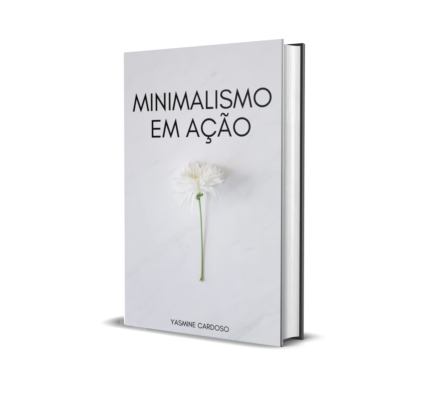 MINIMALISMO EM AÇÃO