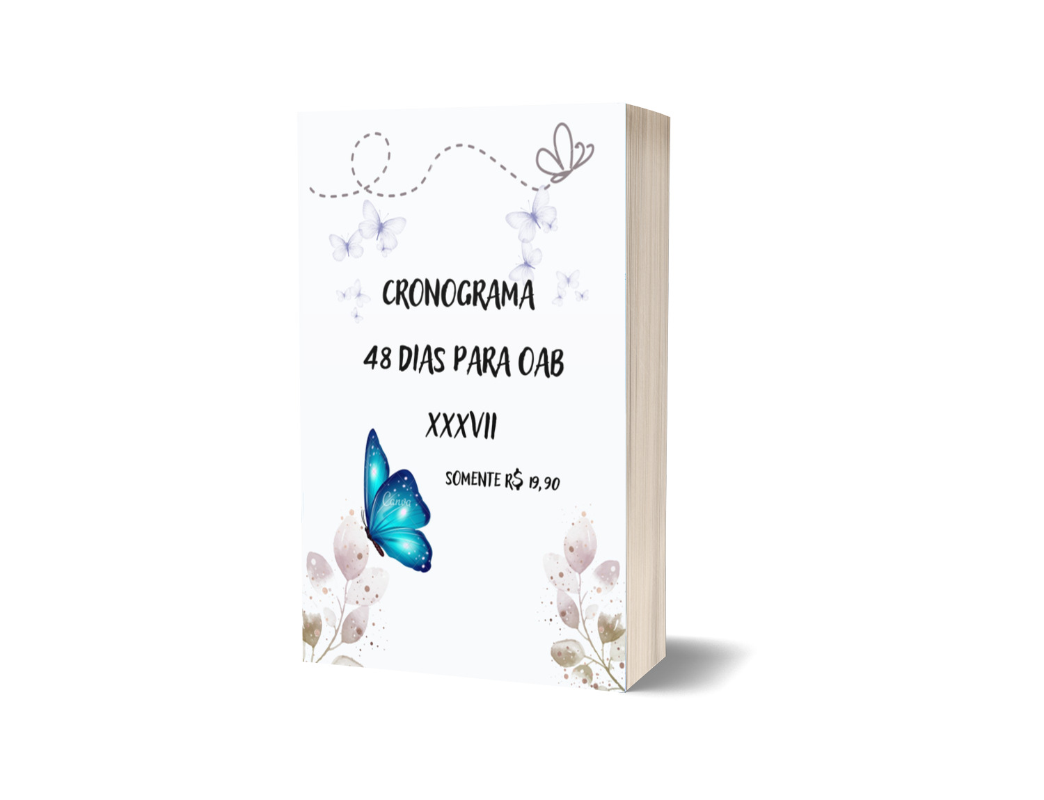 CRONOGRAMA 48 DIAS PARA OAB XXXVII