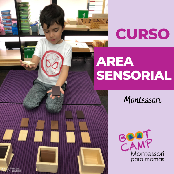 Area Sensorial Montessori (2.5-6 años) - Academia Montessori para M...
