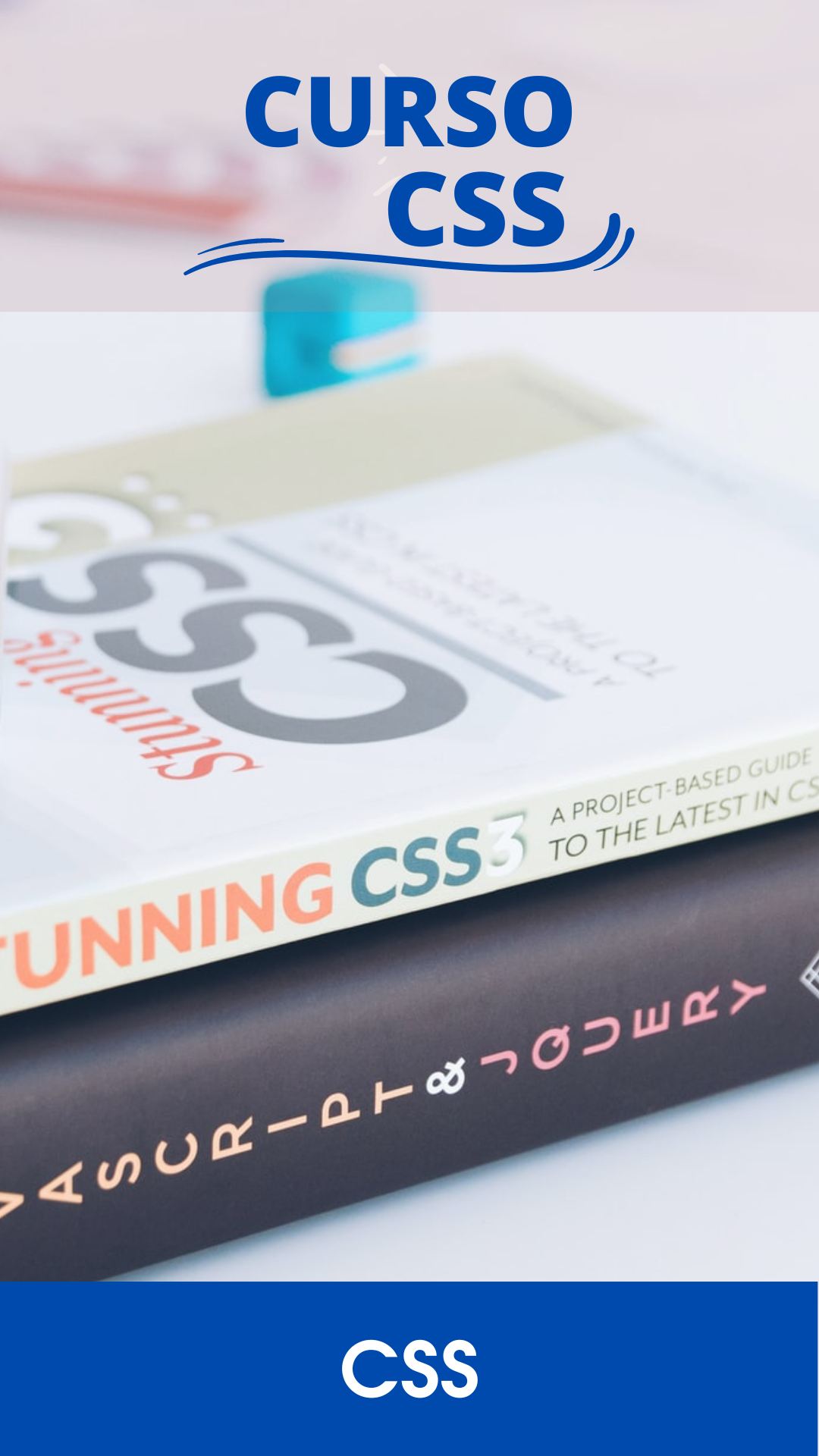 Curso Css Todo Digital Hotmart