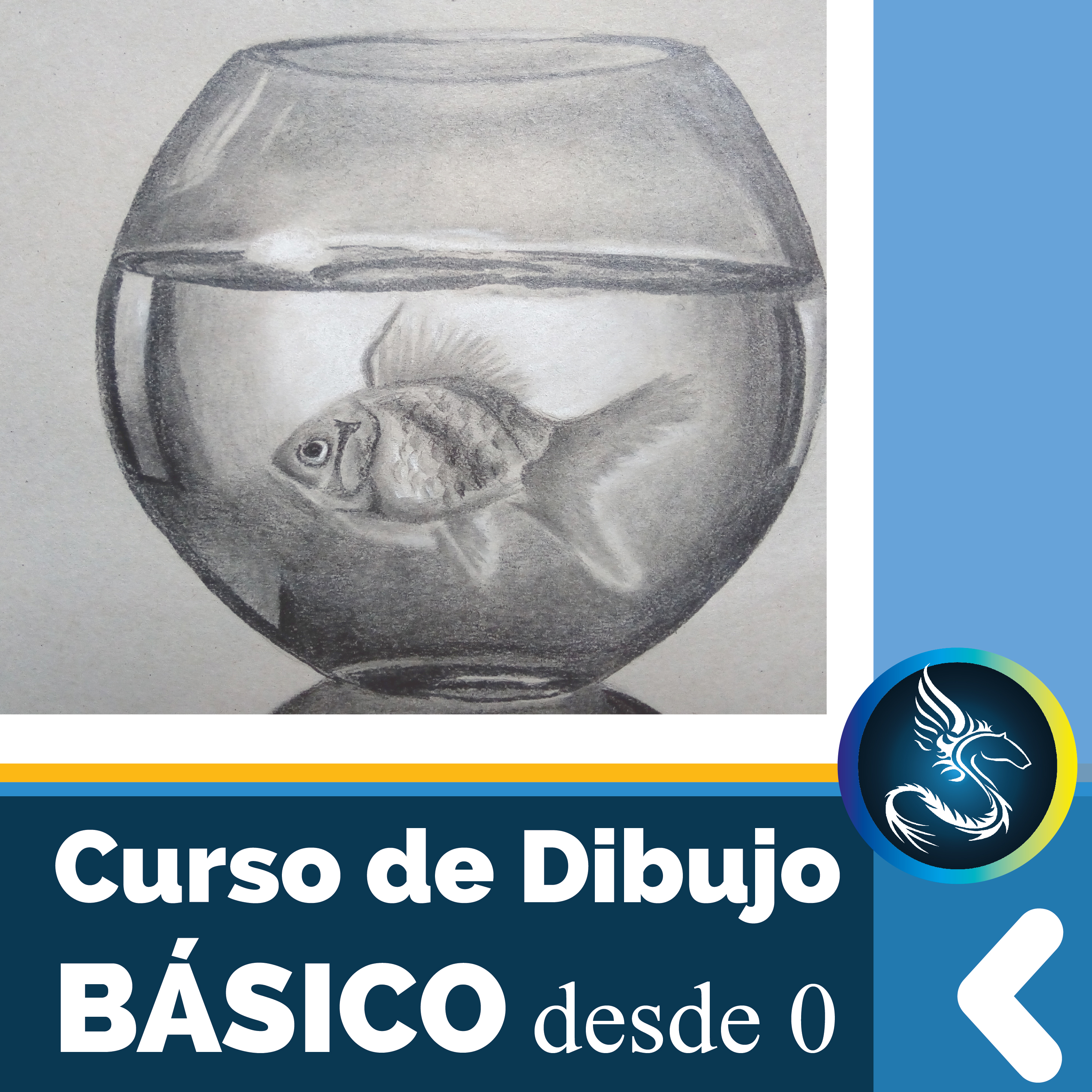 Curso de Dibujo Básico desde cero