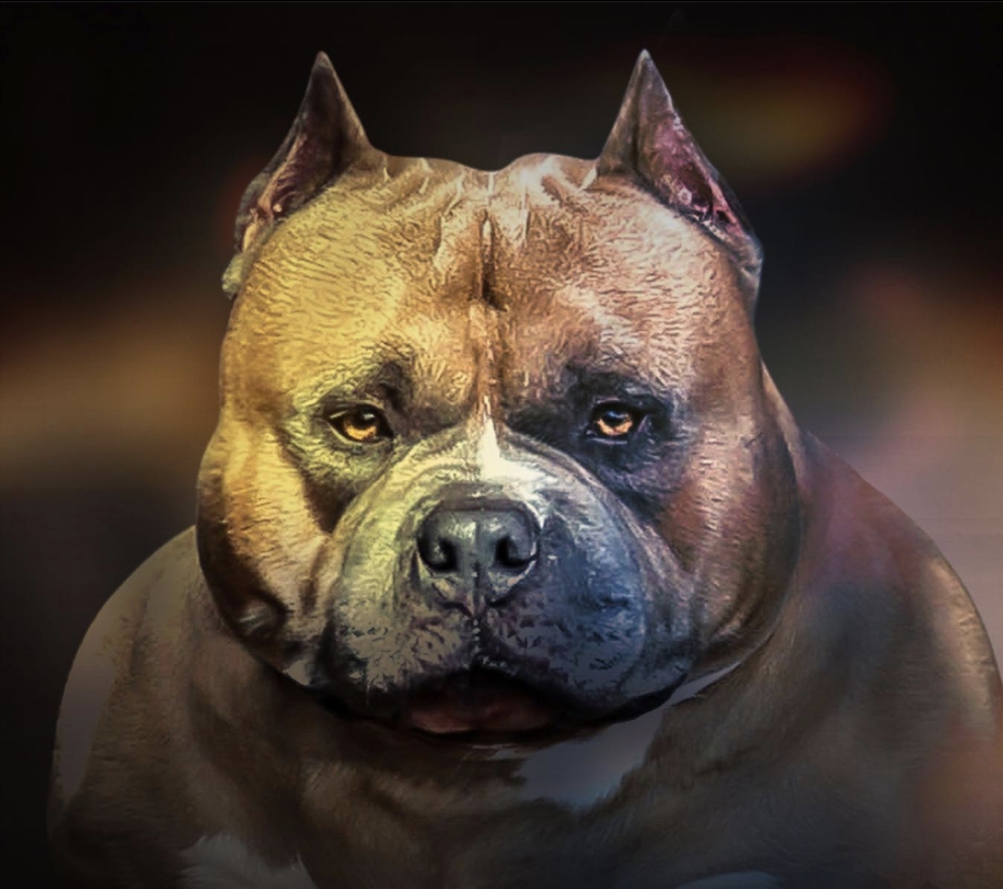 Especialização em American Bully - Clube Brasileiro do American Bu...