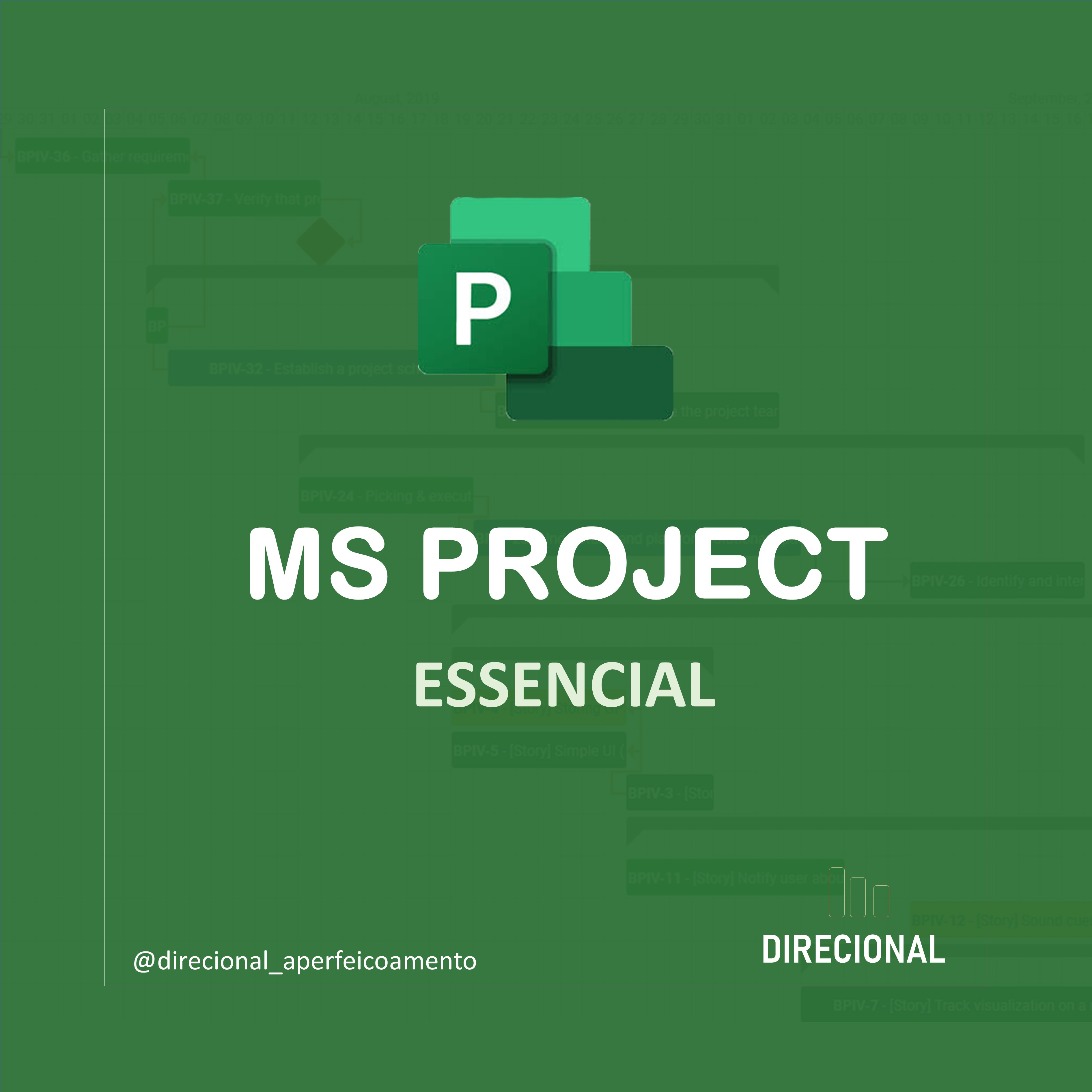 MS Project - Essencial
