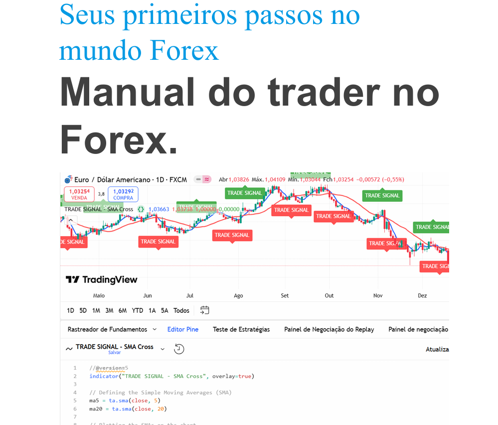 Seus primeiros passos no mundo Forex Manual do trader no Forex.