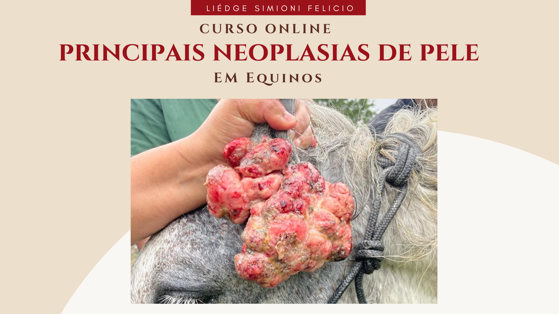 Principais Neoplasias de Pele em Equinos - Liedge Simioni | Hotmart