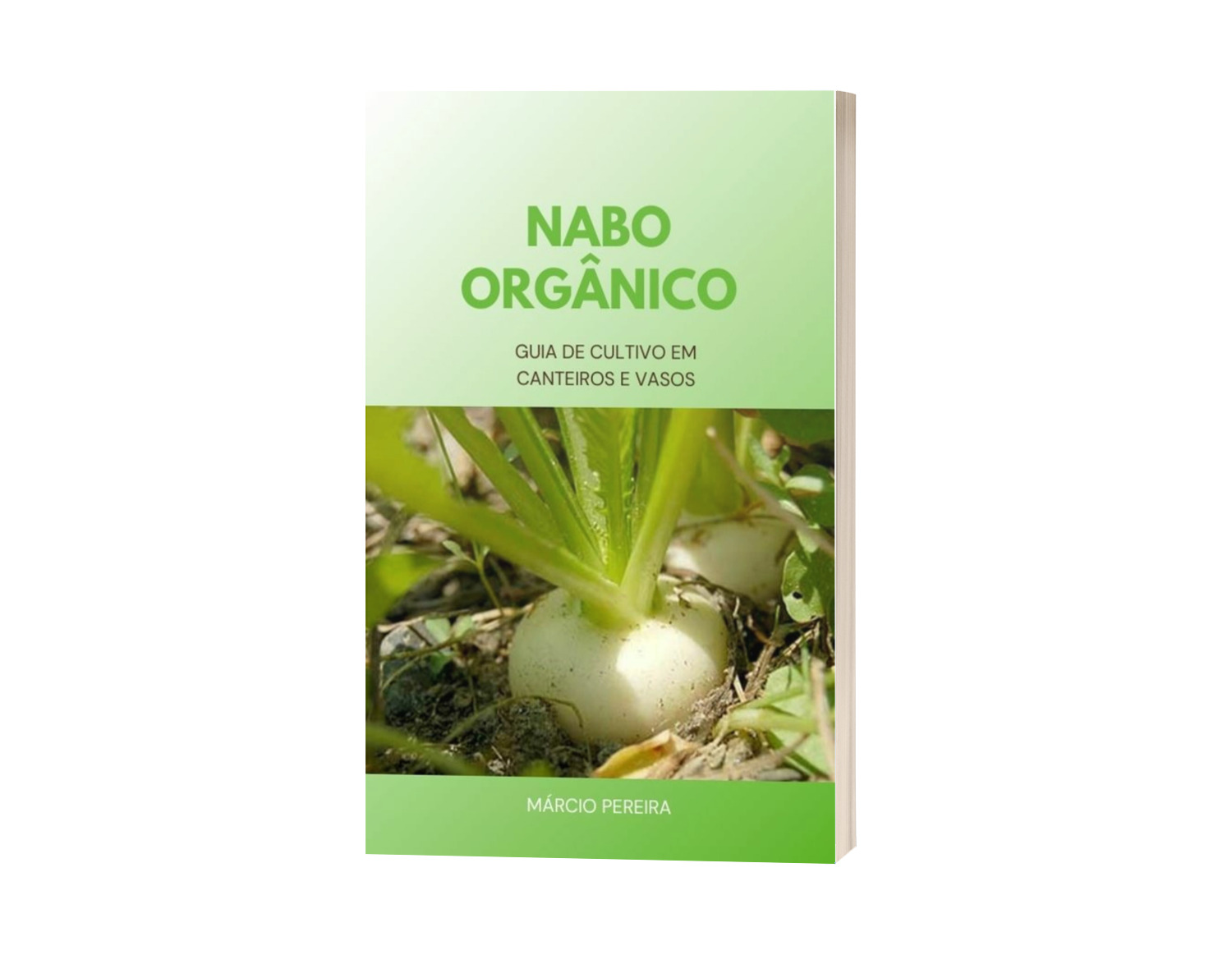 Nabo Orgânico