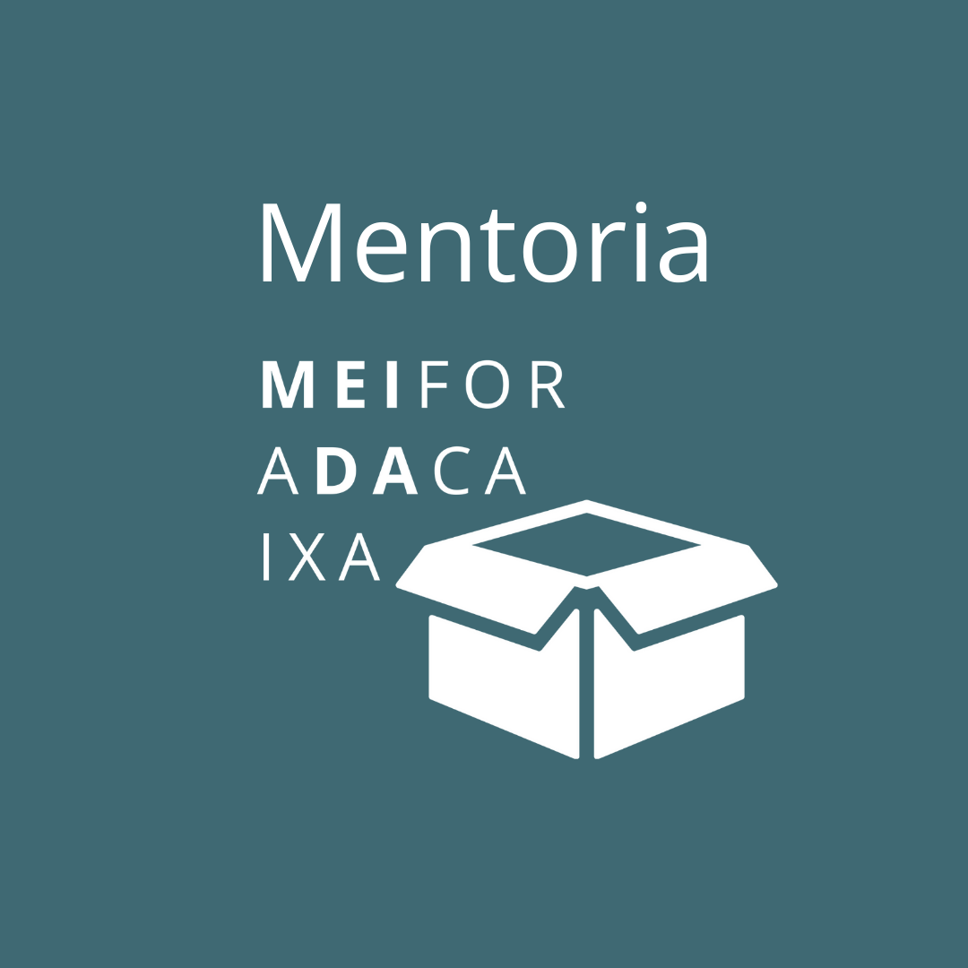 Mentoria MEI Fora da Caixa