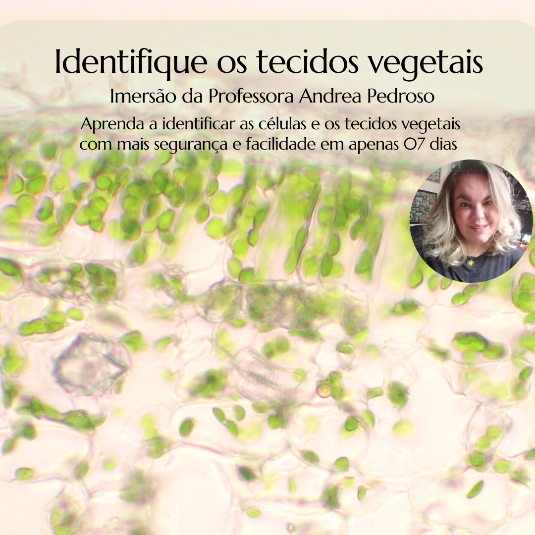 Identifique os tecidos vegetais - uma imersão no mundo microscópico...