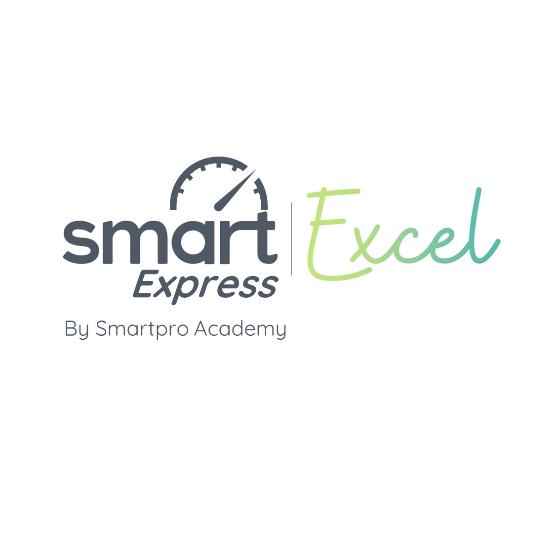 Smart Excel Express - Carolina De Andrade | Hotmart