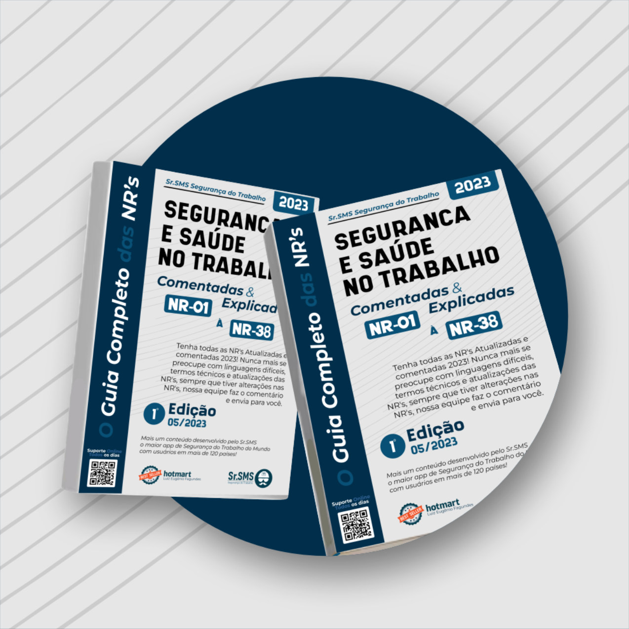 O Guia Completo das NR's - Sr. SMS | Hotmart