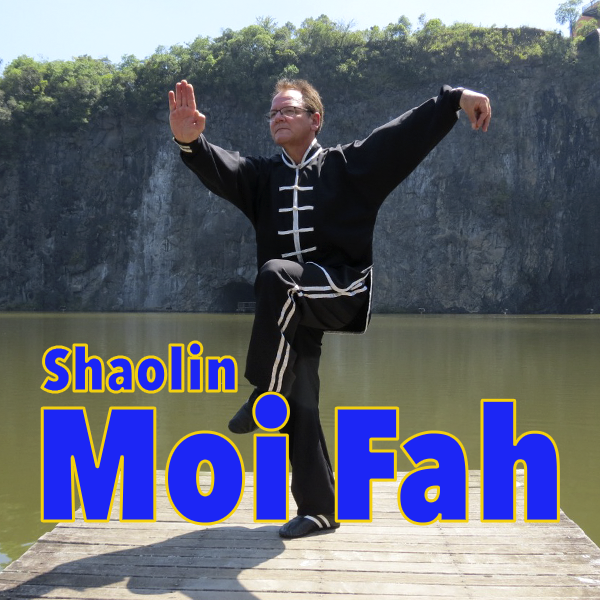 Kung Fu - Shaolin Moi Fah - "Plum Blossom" - Seventh Form of Plum ...