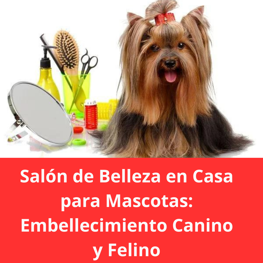 Embellecimiento Canino y Felino - john alexis perez bran | Hotmart
