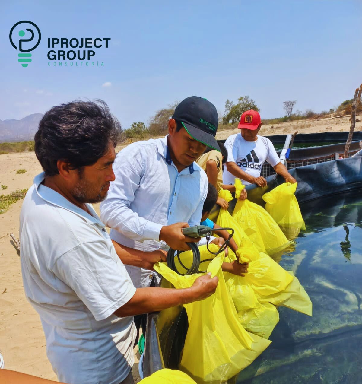 "Seminario virtual financiamientos sin Fronteras: Método exitoso a través de financiamientos no ...