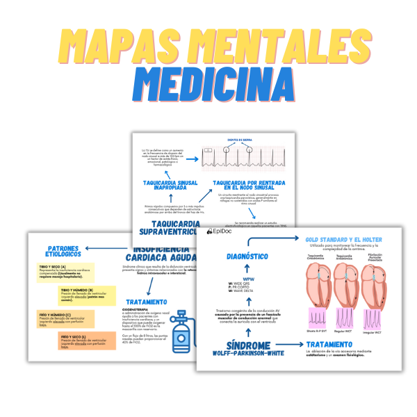 Mapas Mentales De Medicina EpiDoc