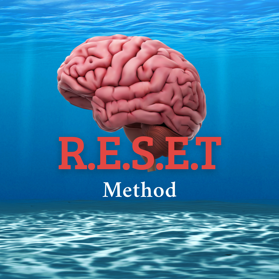 R.E.S.E.T. Method - Paula Moreira de Oliveira Serra | Hotmart
