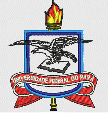 Matriz de bordado UFPA - Henrique Rodrigues | Hotmart