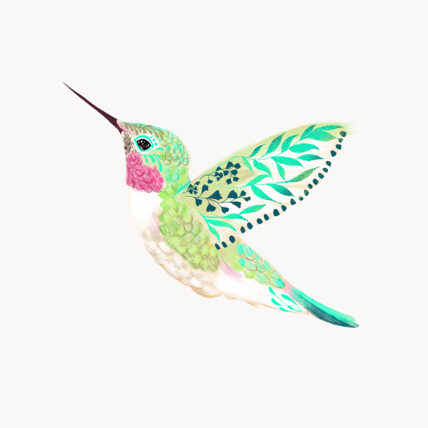 Ilustração Digital Beija Flor - Floriano studio | Hotmart