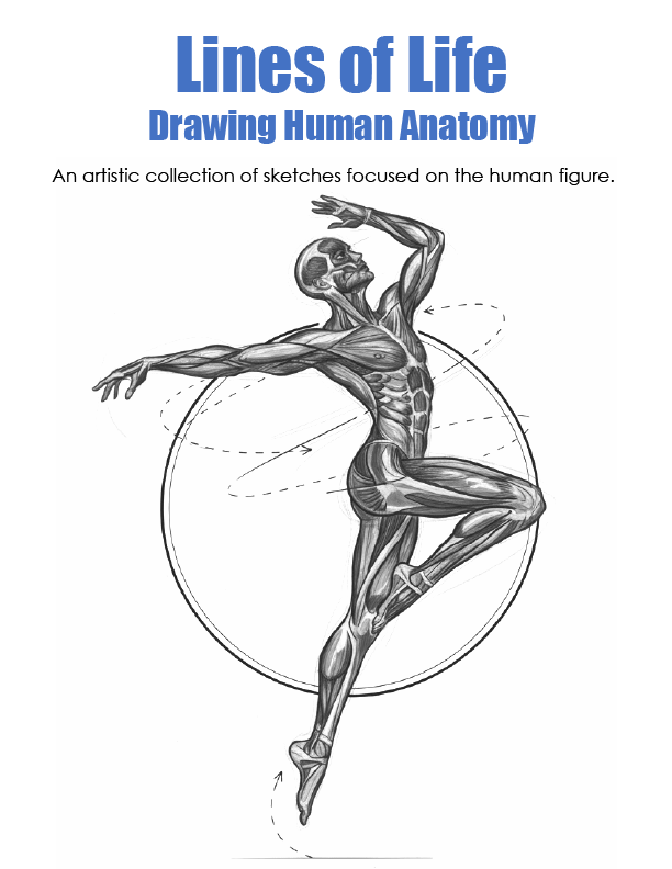 Lines of Life: Drawing Human Anatomy - A. Stanfield | Hotmart