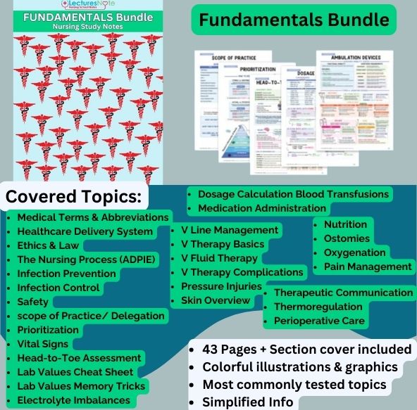 Fundamentals Bundle